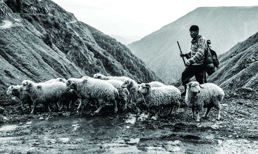 Tushetian Shepherds - GeorgianJournal