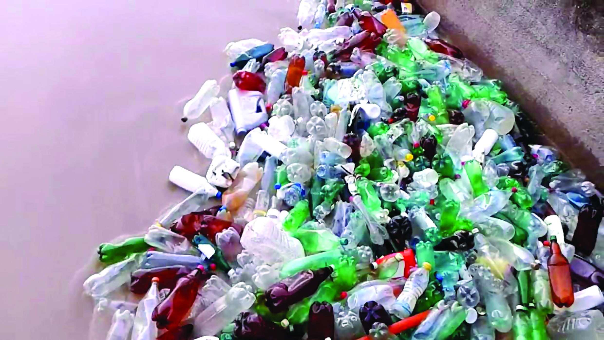 Cleaning Up Georgia’s Garbage Begins in the Mind - GeorgianJournal