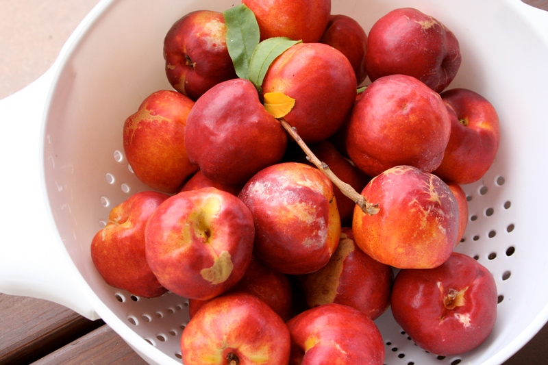 Distinct flavor and unforgettable taste - Check out the variety of ...