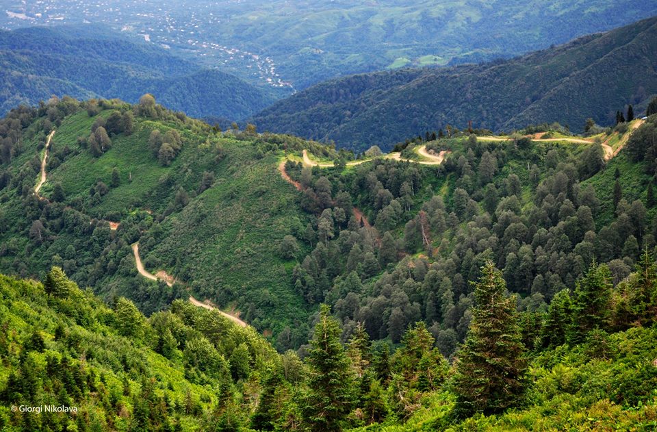 Georgia’s Guria Region - “The land of the restless” - GeorgianJournal