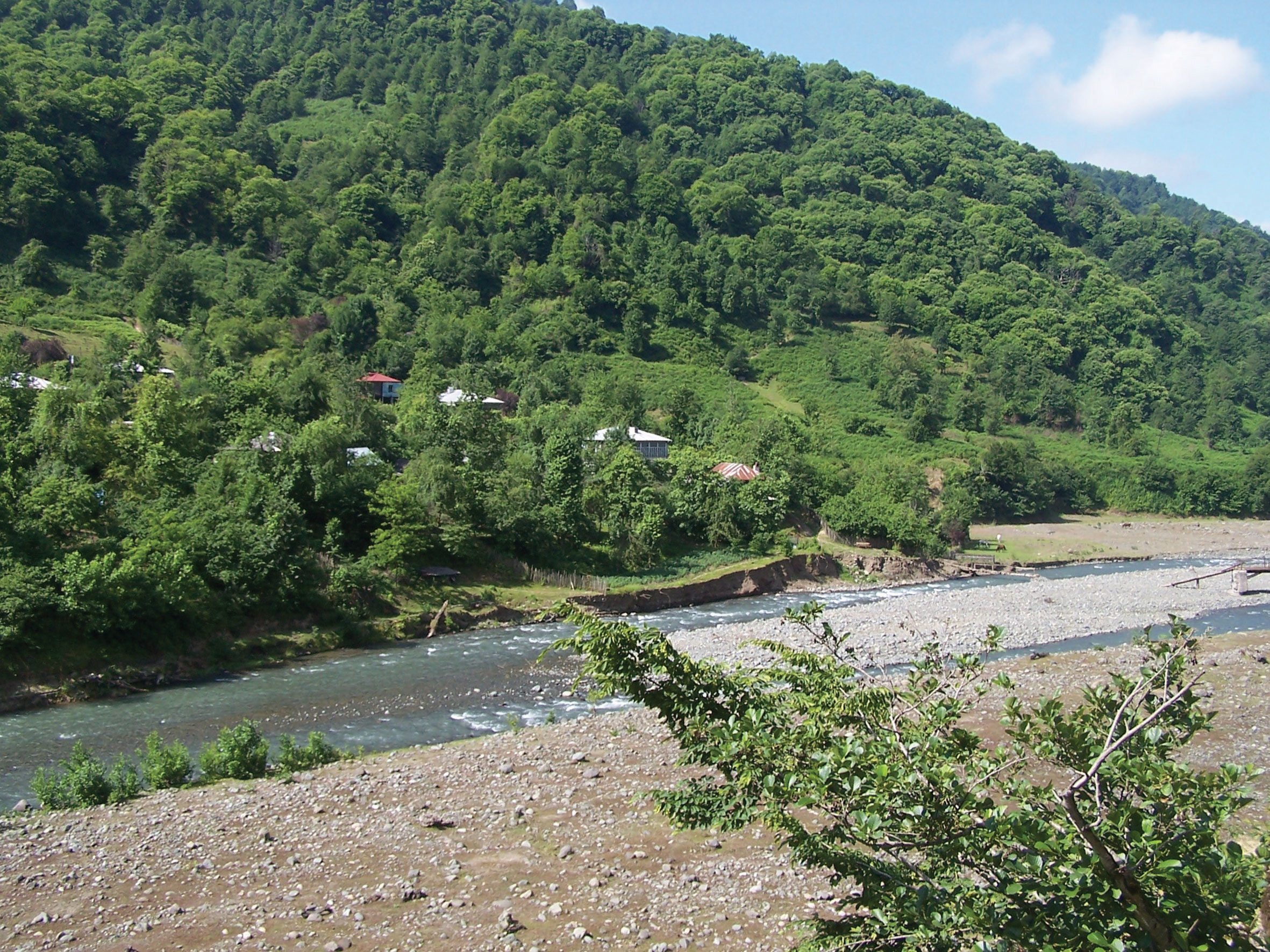 Georgia’s Guria Region - “The land of the restless” - GeorgianJournal