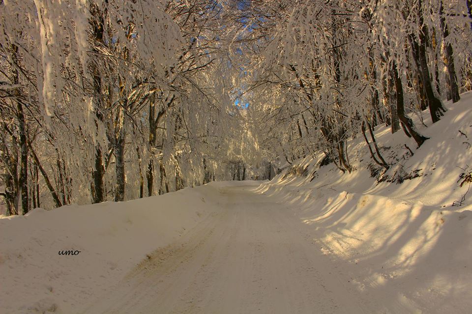 Georgia’s magic video published by Business Insider captivates millions ...