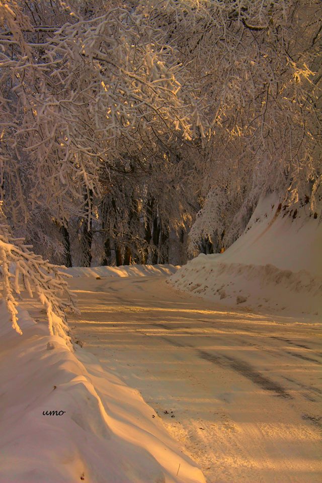 Georgia’s magic video published by Business Insider captivates millions ...