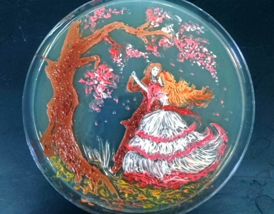 Georgian student who paints with bacteria earns third place at ...
