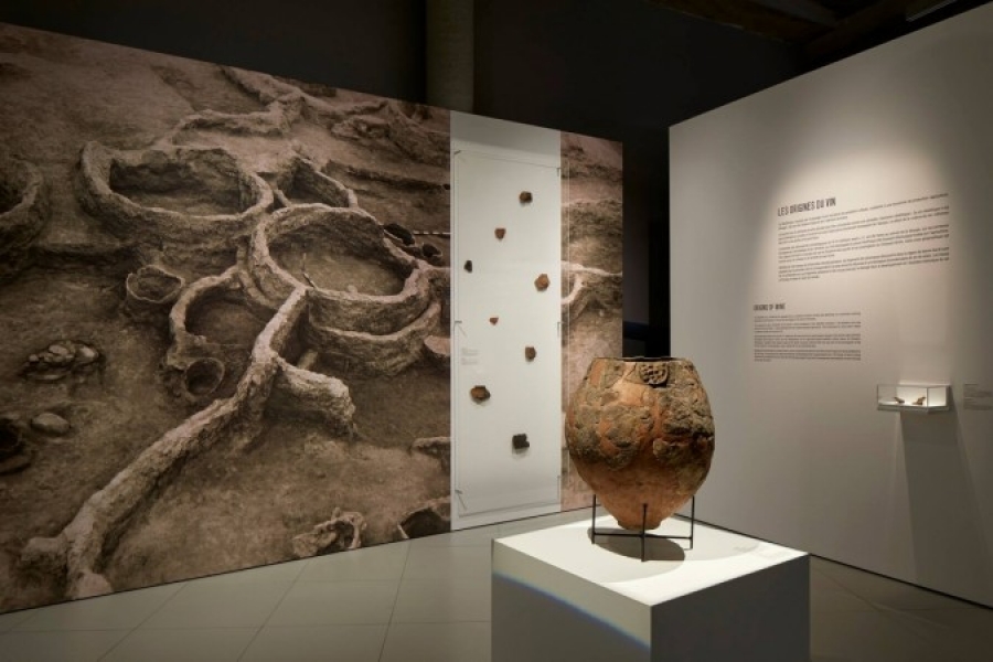Popular American magazine on the evidence of world's oldest grape wine ...
