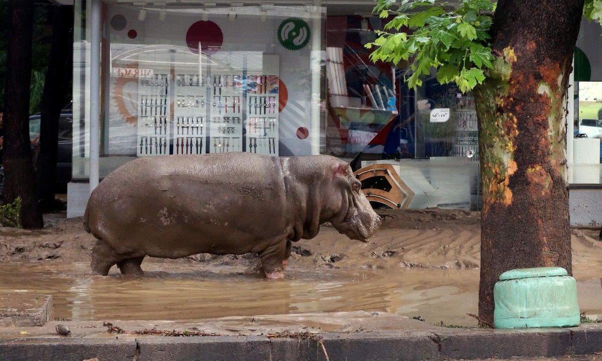 Three years from Tbilisi devastating flood - June 13 tragedy ...