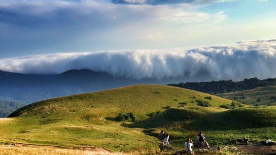 Shqmeruli – One of the oldest and most delicious dishes from Georgia ...