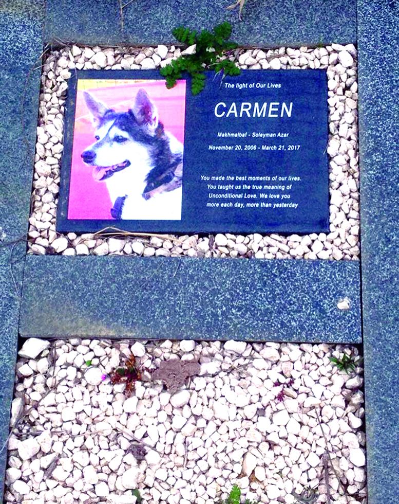 The first ever pet cemetery in Georgia - GeorgianJournal
