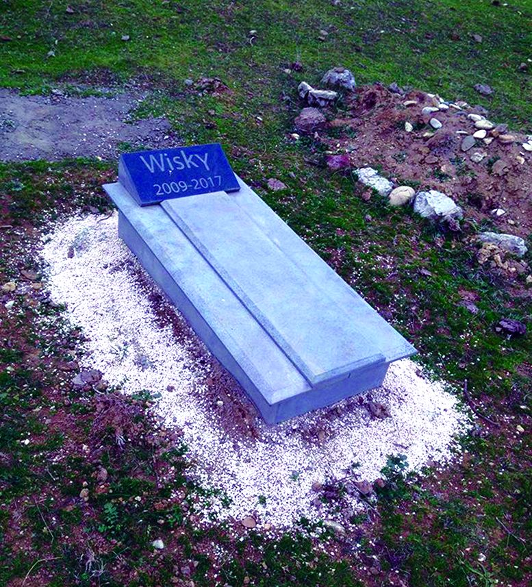 The first ever pet cemetery in Georgia - GeorgianJournal