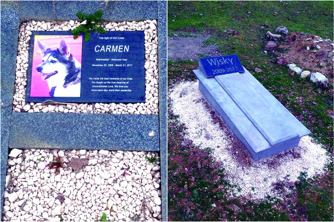 The first ever pet cemetery in Georgia - GeorgianJournal