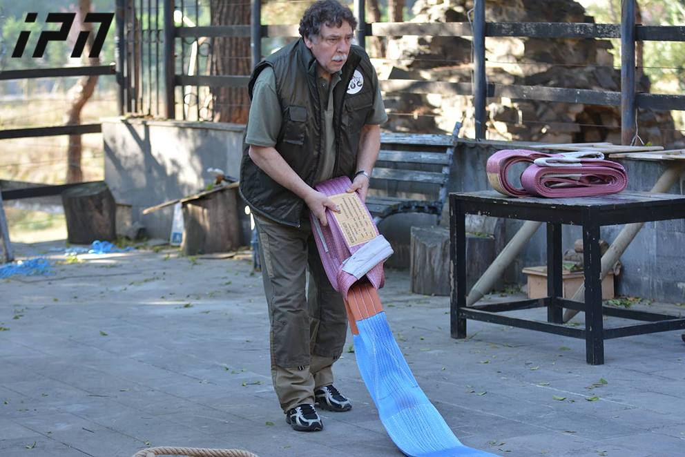 Tusk of elephant Grand successfully removed in Tbilisi Zoo ...