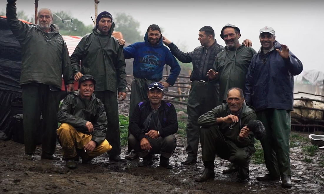 A typical day for Georgian shepherds in Gudauri - GeorgianJournal