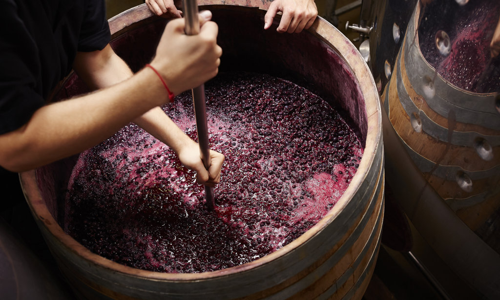 georgian wine making process
