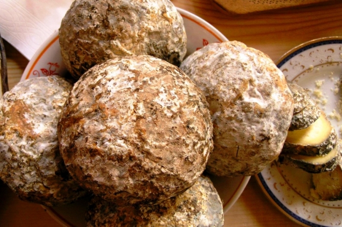 Top 5 Local Cheese Types to Try in Georgia - GeorgianJournal