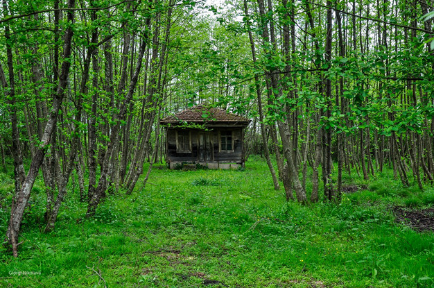 Ravishing Colchian Oda Houses on the verge of disappearing and ...