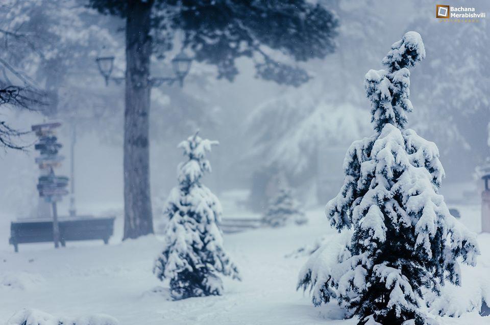 Breathtaking Pictures of Snowy Spring in Georgia - GeorgianJournal