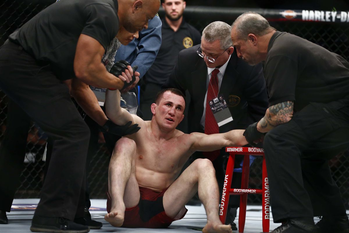 Six Georgians in the UFC - GeorgianJournal